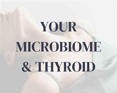 The Link Between Your Gut Microbiome And Thyroid Health