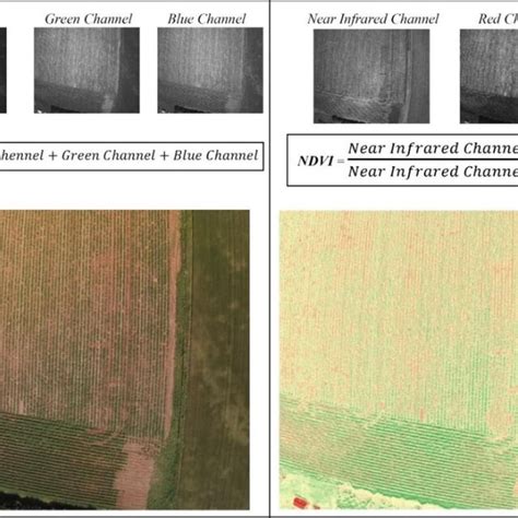 Generated Dataset Sample For The Training Of Generative Adversarial