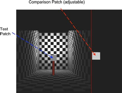 Test Patch And Comparison Patch The Observer Adjusted The Luminance Of