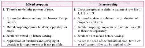 How Is Intercropping Different From Mixed Cropping CBSE Class Science Learn CBSE Forum