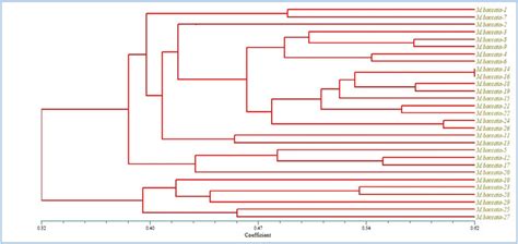 Ntsys Analysis Of 29 Mb Accessions Based On 79 Ssr Markers Download Scientific Diagram