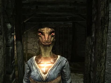 Female Argonian Face Retexture At Skyrim Nexus Mods And Community