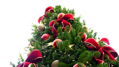 Това са най ужасните и обидни коледни подаръци за жени Новини бг