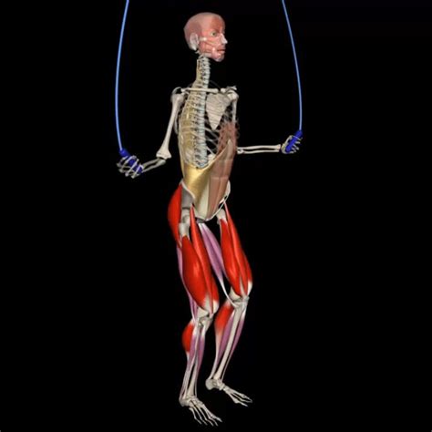 Enhancing Bone Density Through Exercise Muscle And Motion