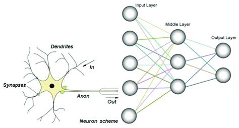 Typical Structure Of A Feedforward Artificial Neural Network Ann [31] Download Scientific