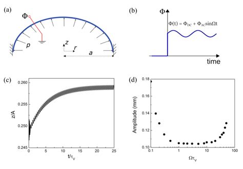 A Cross Section Of A Circular Dielectric Elastomer Membrane Inflating