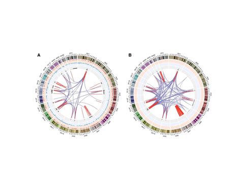 Optical Genome Mapping Лаборатория Cell Genetics