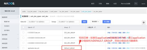 nacos的使用记录 8848 9848 csdn博客