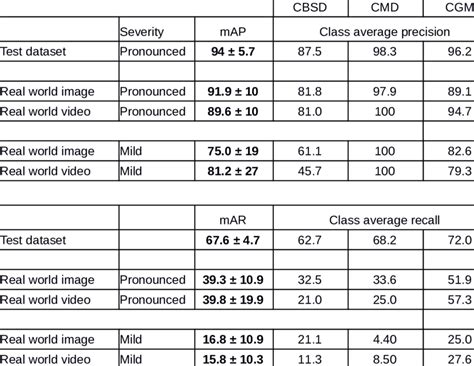 mean average precision of cnn model for real world images and video