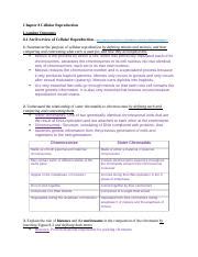 Chapter 8 Cellular Reproduction Docx Chapter 8 Cellular Reproduction Learning Outcomes 8 1 An