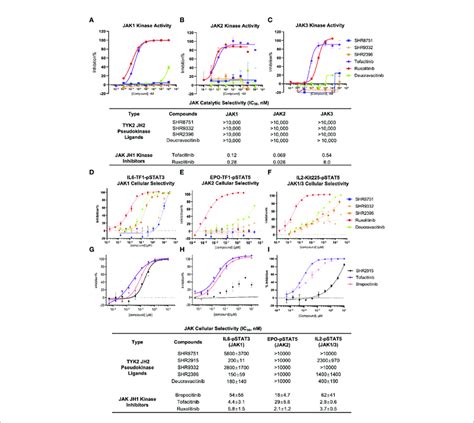 Tyk2 Pseudokinase Ligands Showed Limited Potency In Affecting Jak1 3 Download Scientific