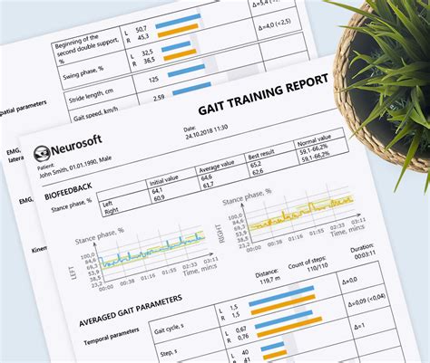 Steadys Step BFB Neurosoft