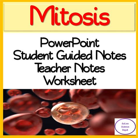 Cell Division Mitosis Powerpoint And Worksheet Made By Teachers