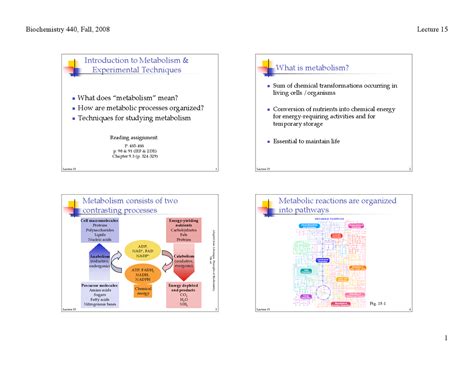 Introduction To Metabolism And Experimental Techniques Bioc 440 Docsity