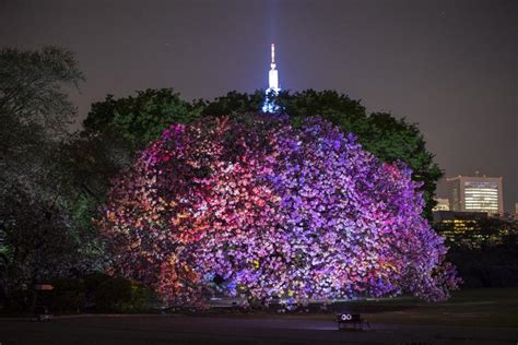 Nakeds Sakura Night Garden At Shinjuku Gyoen Admission Ticket Kkday