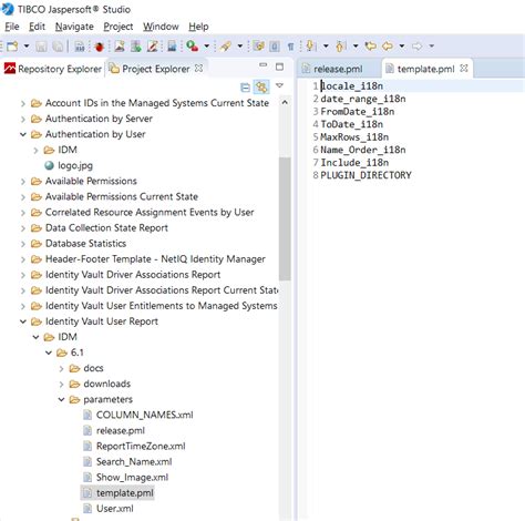 Setting The Report Definition Parameters Administrator Guide To Netiq
