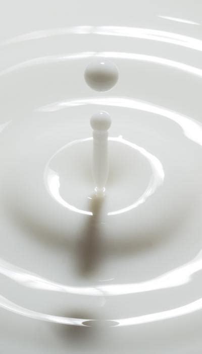 Lysozyme Bioseutica®