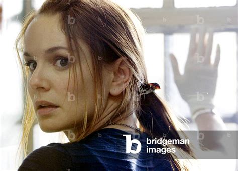 Sarah Wayne Callies Prison Break