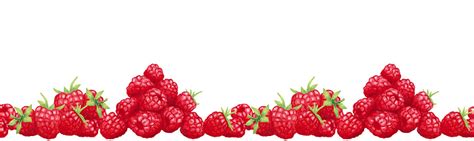 수채화 수평 라즈베리 테두리 통조림 식품캔에 라벨을 디자인합니다 건강한 식생활 건강한 식생활에 대한 스톡 벡터 아트 및 기타 이미지 건강한 식생활 귀여운 그리기