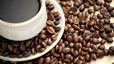 A Simple Guide To Toraja Coffee The Popular Indonesian Coffee