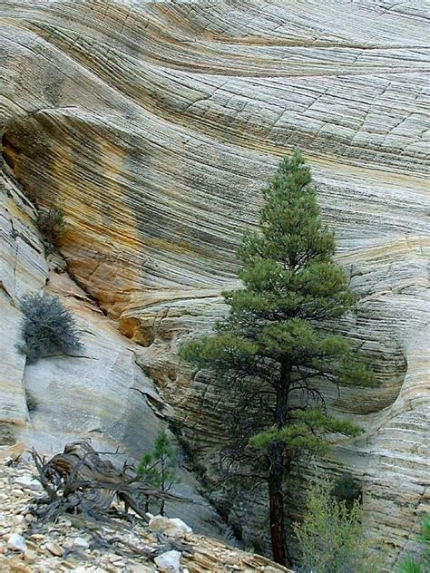 Free Picture Eroding Sea Cliffs