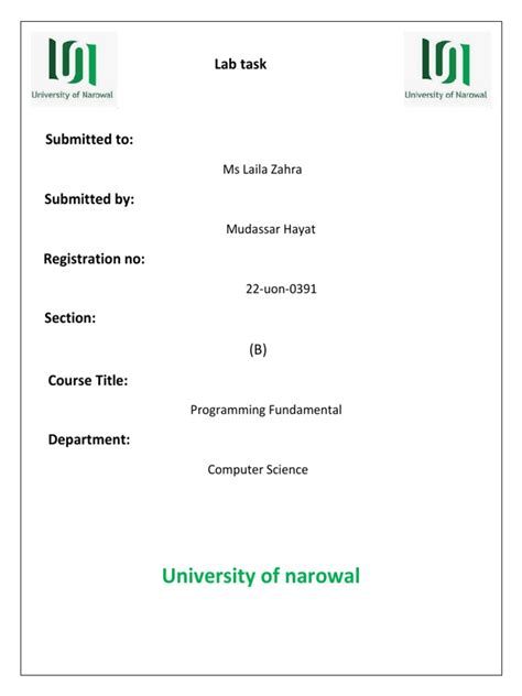 Lab Task Mudassar Hayat Pdf Pdf Matrix Mathematics Control Flow