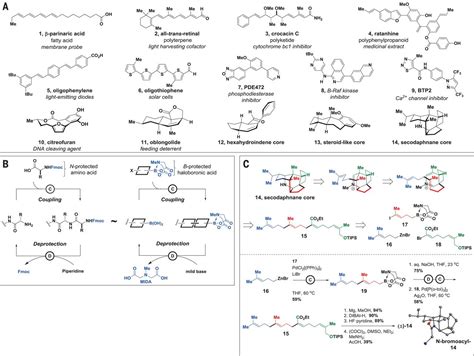 What Process Is Used To Build Each Type Of Organic Molecule At Autumn
