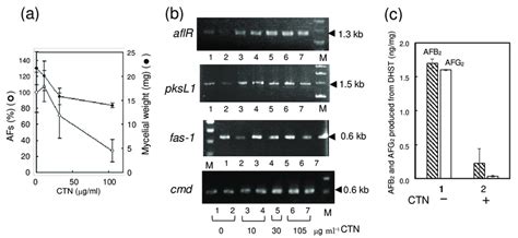 The Effect Of Ctn On Aflatoxin Production Fungal Growth And Gene Download Scientific Diagram
