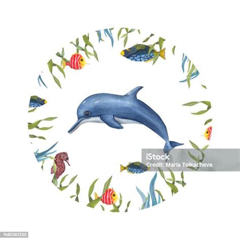 돌고래 물고기 흰색 배경에 격리된 잡초가 있는 수채화 프레임 벽지 인쇄 아기 섬유 로고 스크랩북 엽서 의류에 대 한 그림 엽서에