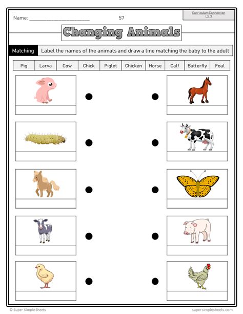 Grade 2 Worksheets Science