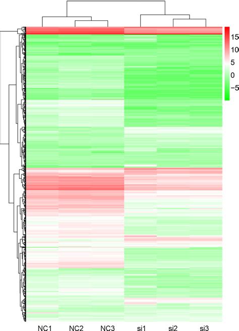 Microrna Expression Profile After Rna Component Of Mitochondrial Rna Download Scientific