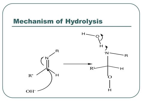 Ppt Mo Calculations Of Imine Hydrolysis And Cu Complex Formation Powerpoint Presentation Id