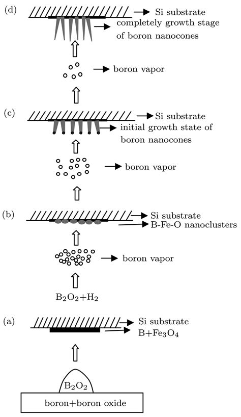 A Schematic Model Of The Boron Nanocones Growth Download Scientific Diagram