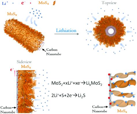 Schematic Illustration Of The Diffusion Of Electron And Li The Li Download Scientific