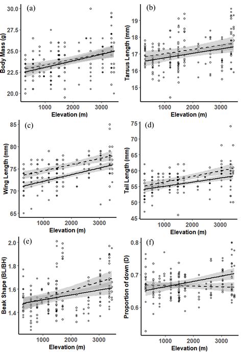 House Sparrows Passer Domesticus Increase In Body Size And Dorsal