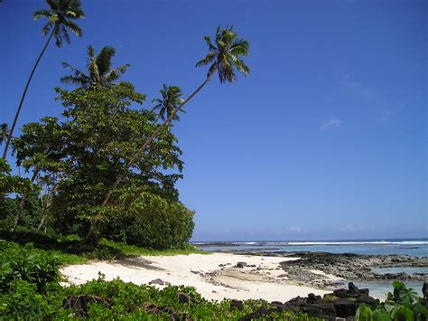 Free Images Coast Tree Nature Ocean Sky Shore Vacation Cliff