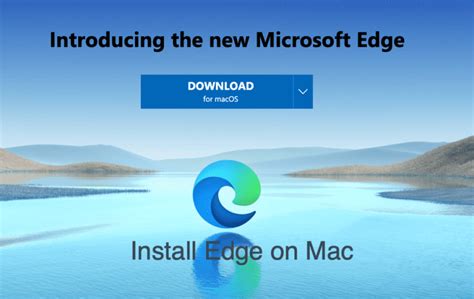 如何在mac中安装microsoft Edge Infoxiao