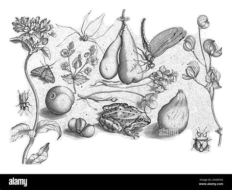 Print From A Series Of 48 Prints Divided Into Four Separate Parts Of