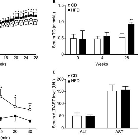 Effect Of Hfd On Body Weight Serum Tg Levels And The Gh Igf‐1 Axis In Download Scientific