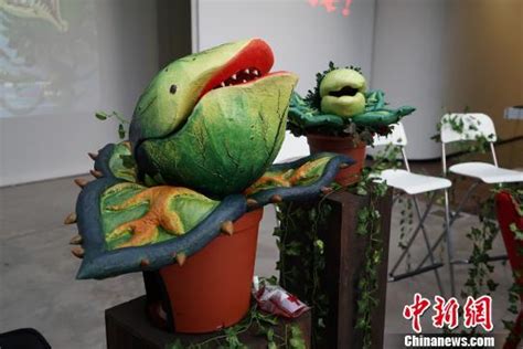 百老汇音乐剧《疯狂花店》中文版12月沪上开演 疯狂花店 音乐剧 中文版 新浪娱乐 新浪网
