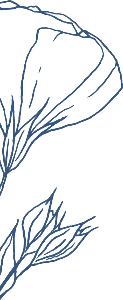 Victoria Mcerlean And Ryan Halliseys Wedding Website