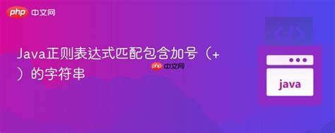 Java正则表达式匹配包含加号（）的字符串 Java教程 Php中文网
