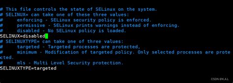 centos配置dns服务 csdn博客
