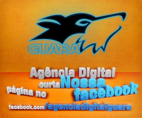 Propaganda E Publicidade Agência Digital Guara