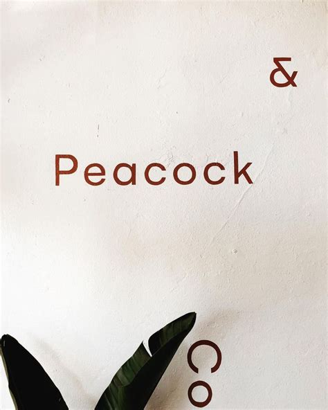 P E A C O C K And C O On Instagram “ Shop Update Please Read