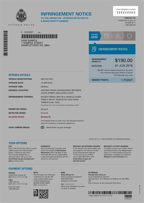 Pay Your Fine