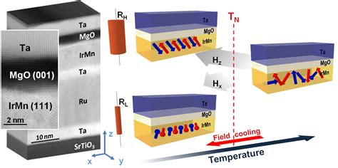 L Ness Laboratory For Epitaxial Nanostructures On Silicon And Spintronics