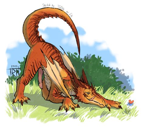 Rule 34 Absurd Res Claws Dragon Feral Genitals Head Down Ass Up Hi Res Liquidfay Male Orange