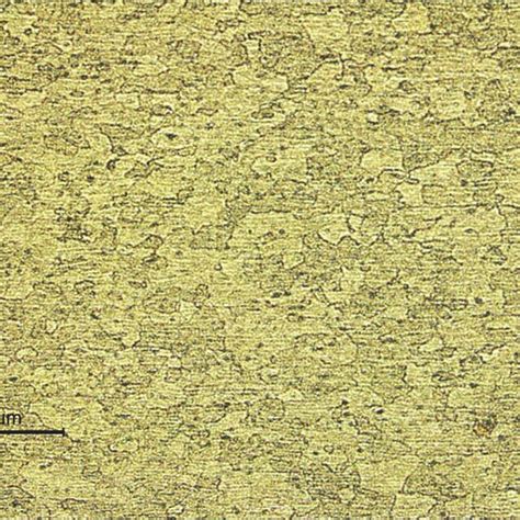 Microstructure Of The Base Material Download Scientific Diagram