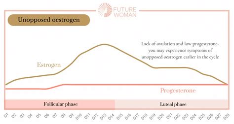Estrogen Dominance Future Woman